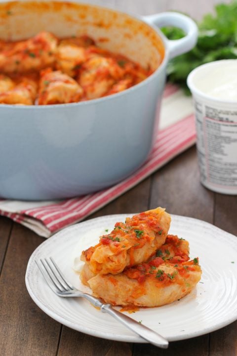 Golubtsi - Cabbage Rolls (Голубцы) - Olga's Flavor Factory