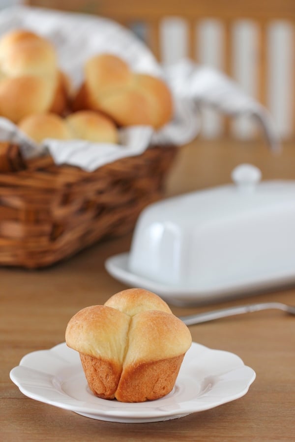 Cloverleaf Rolls - Olga's Flavor Factory