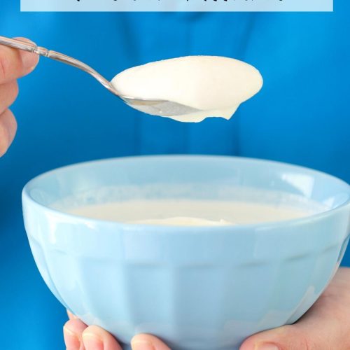 Instant Pot Yogurt (Traditional Method) - Olga's Flavor Factory